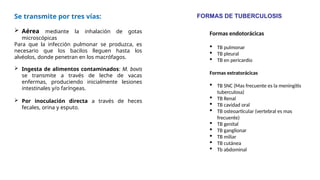 TUBERCULOSIS PULMONAR CON BASE EN LA GPC | PPTX
