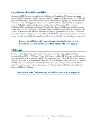 Tb paru | PDF | Infectious Diseases | Diseases and Conditions
