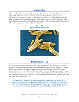 Tb paru | PDF | Infectious Diseases | Diseases and Conditions
