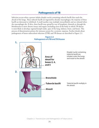 Tb paru | PDF | Infectious Diseases | Diseases and Conditions