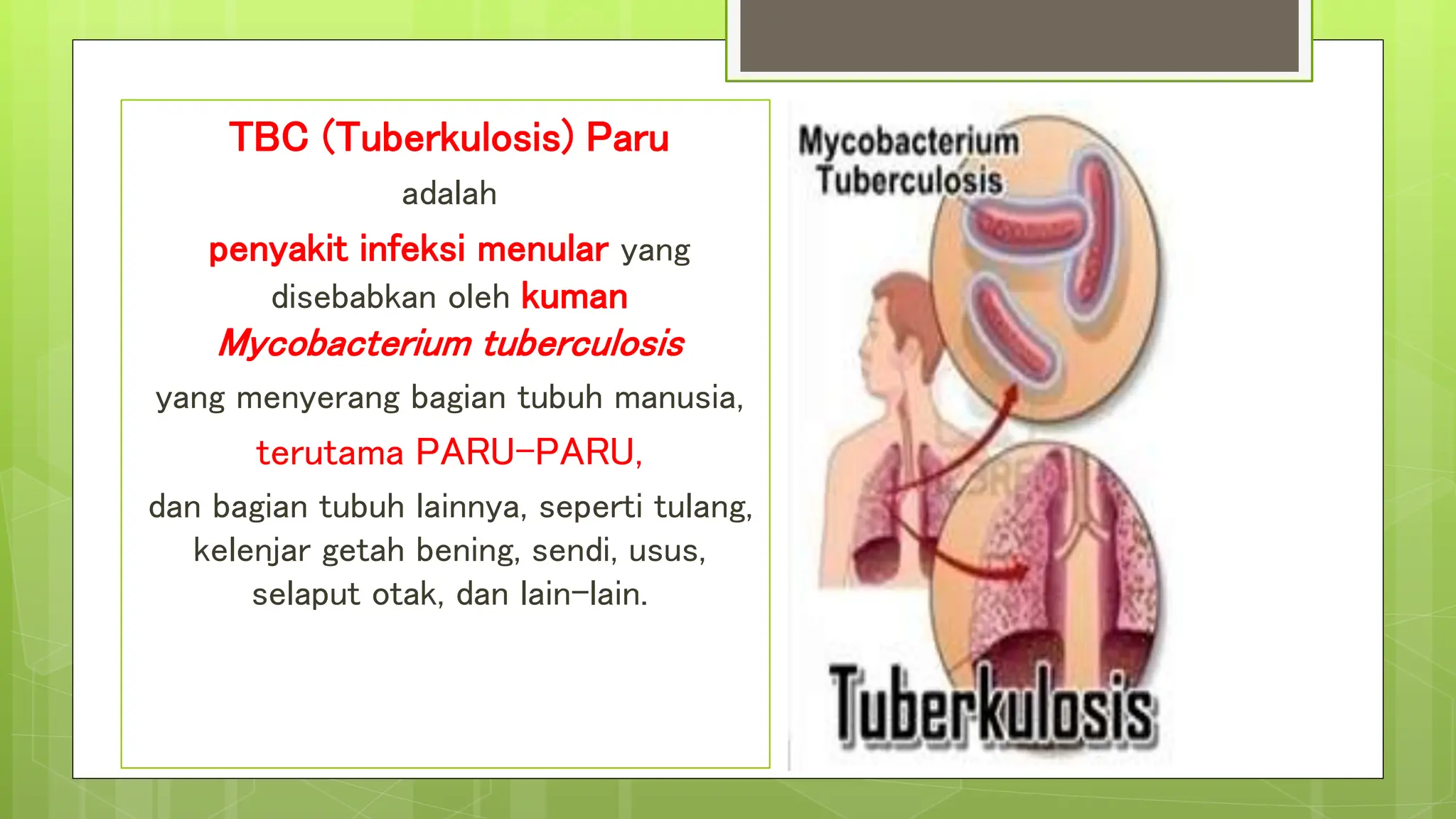 Materi penyuluhan Tuberculosis bagi kader | PPTX