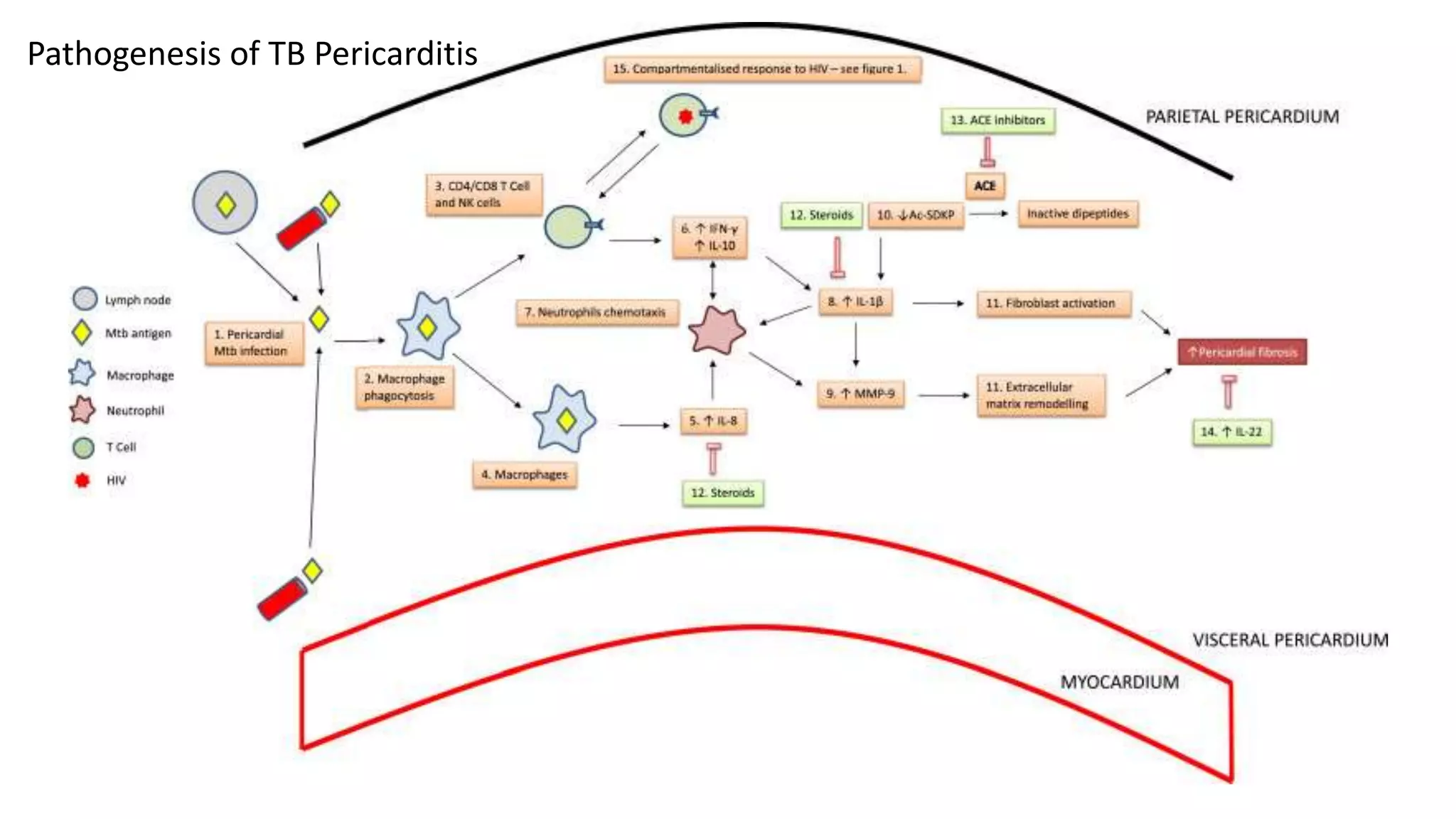 TB Pericarditis.pptx