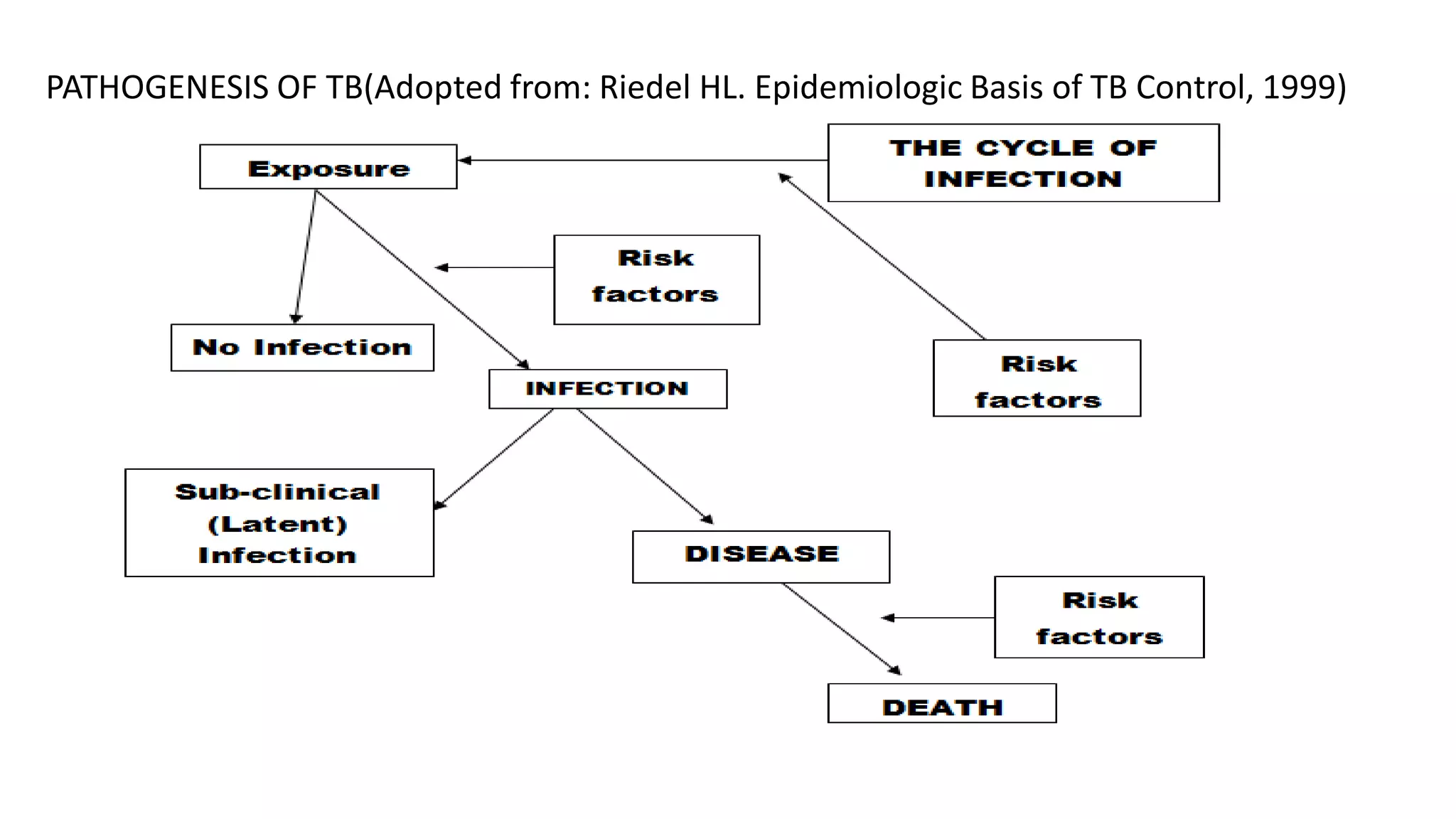 Tb powerpoint | PPT