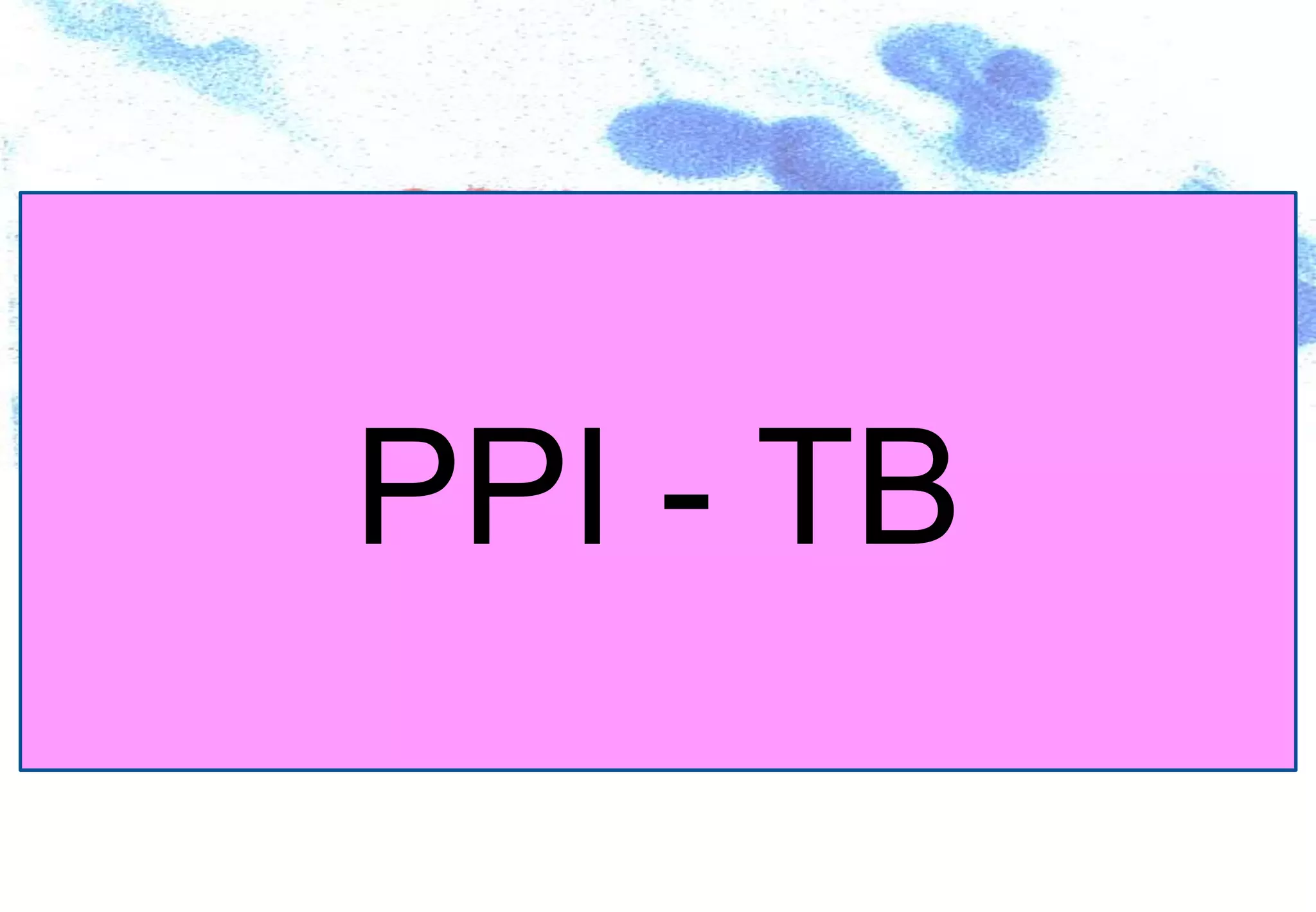 TB_PPI.ppt