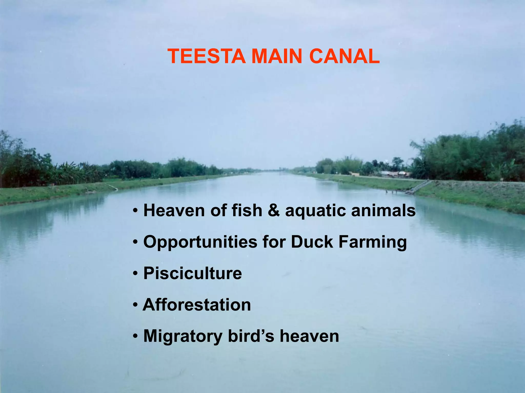 Teesta Barrage Project | PPTX