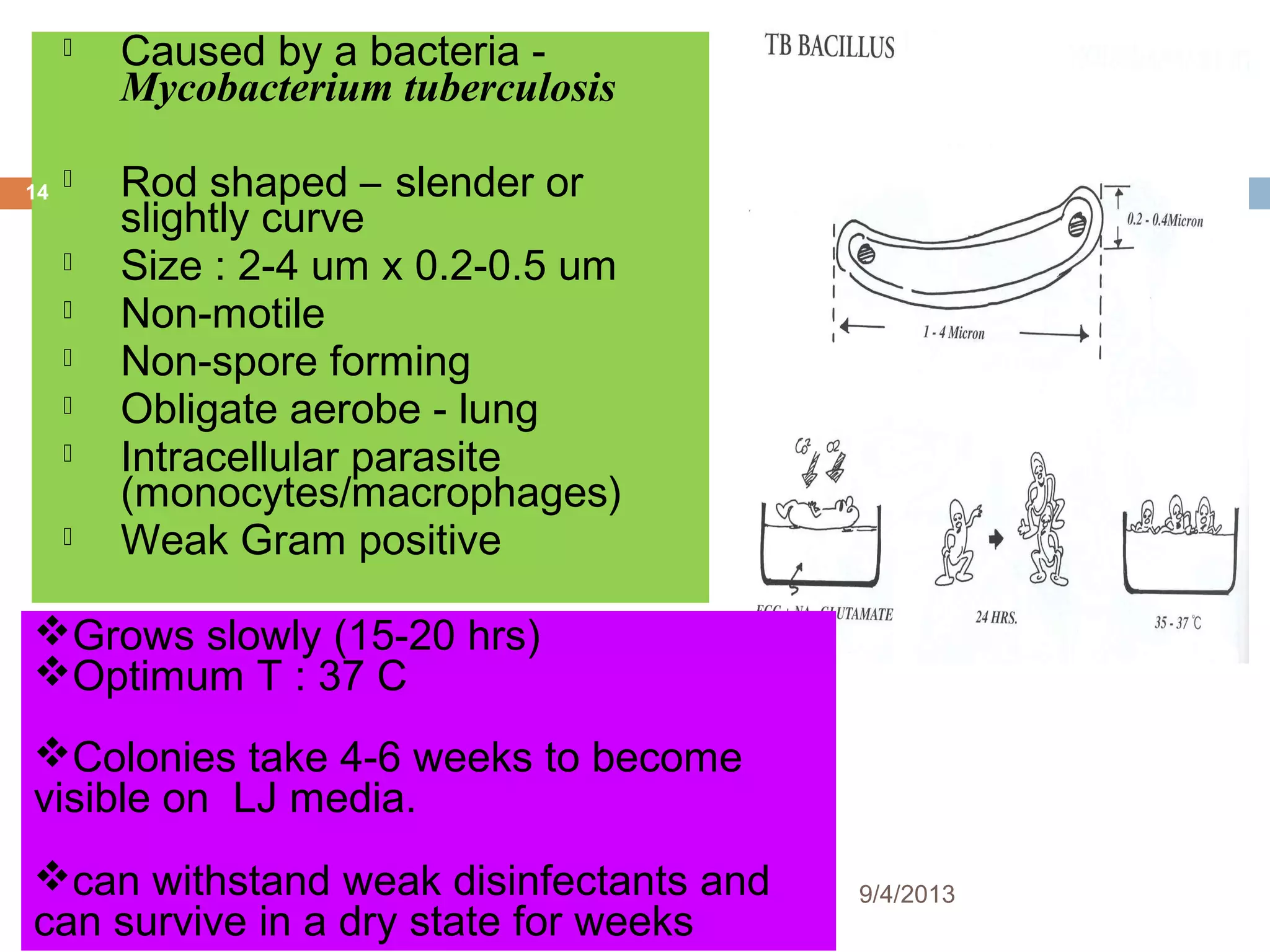 Tb presentation lab diagosis sept 2013 | PPT