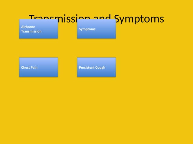 TB_Prevention_Designed_Presentation.pptx