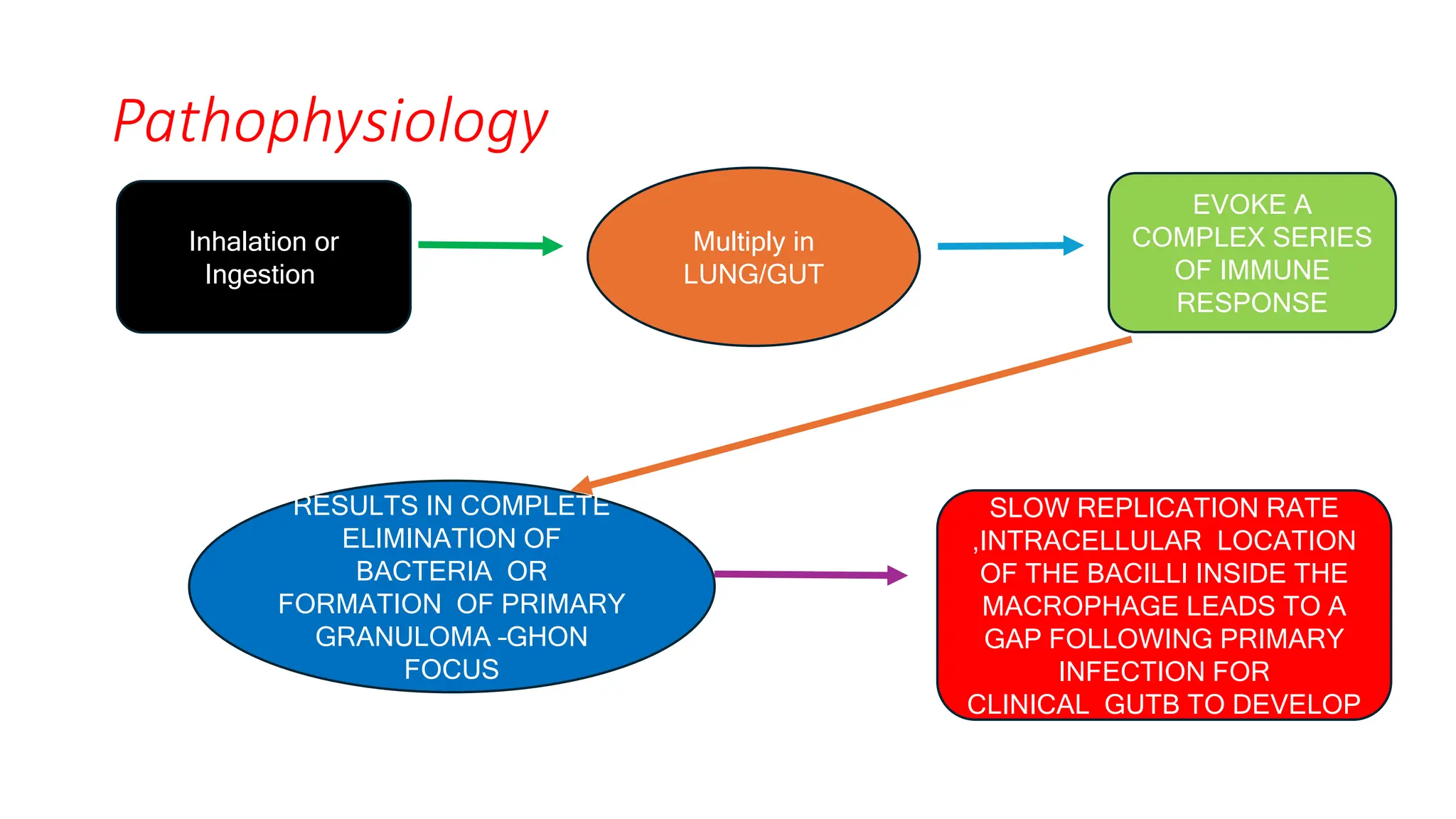 TB Prostate,Prostatitis,Prostate Abscess | PPT