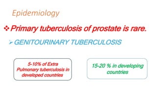 TB Prostate,Prostatitis,Prostate Abscess | PPT
