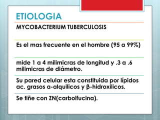 Tuberculosis pulmonar | PPTX