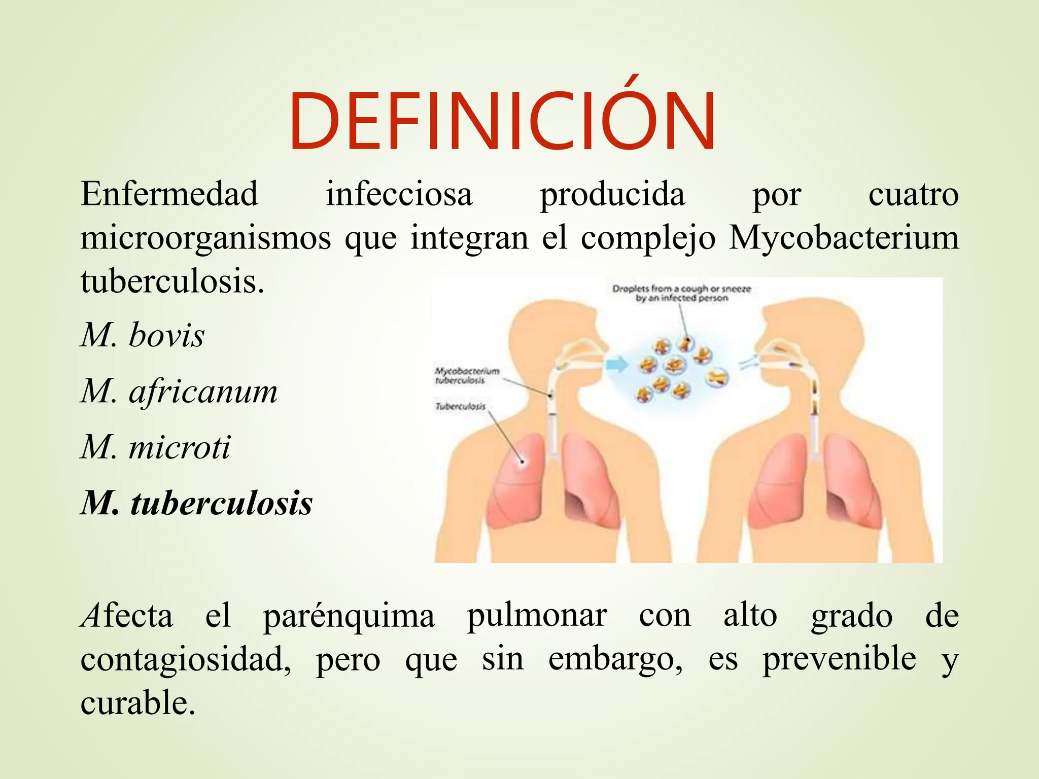 TB PULMONAR diagnostico trtamuento clinica | PPTX