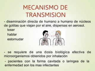 TB PULMONAR diagnostico trtamuento clinica | PPTX | Lung and ...