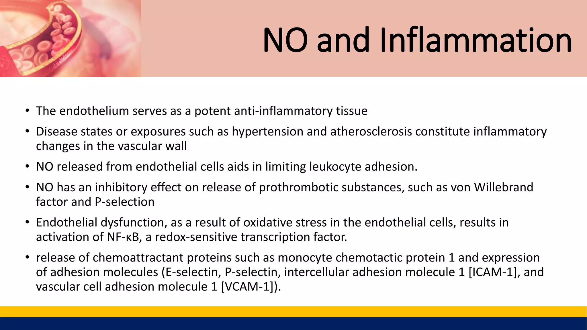 Endothelial Function and Dysfunction | PPTX