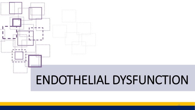 Endothelial Function and Dysfunction | PPTX