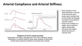 Endothelial Function and Dysfunction | PPTX