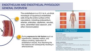 Endothelial Function and Dysfunction | PPTX