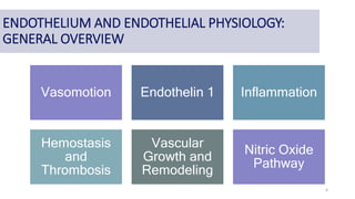 Endothelial Function and Dysfunction | PPTX