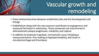 Endothelial Function and Dysfunction | PPTX