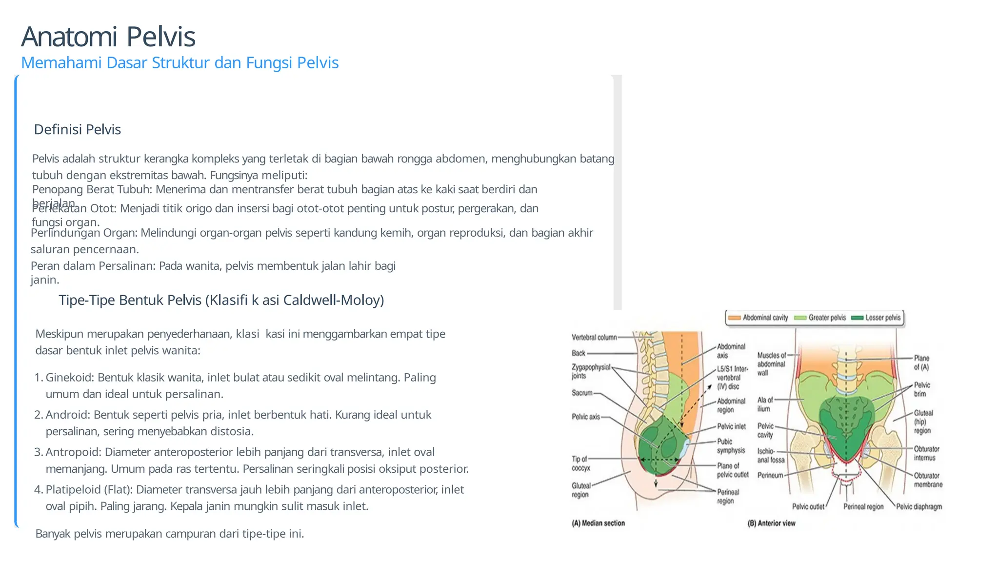 TBR Anatomi pelvis dan Fisiologi defekasi.pptx
