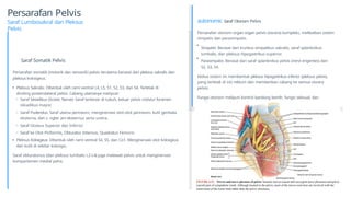 TBR Anatomi pelvis dan Fisiologi defekasi.pptx