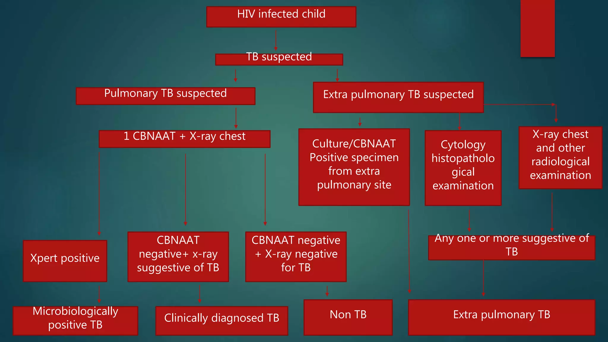 PEDIATRIC TB GUIDELINES RNTCP 2019 BY DR.ROHITH | PPTX