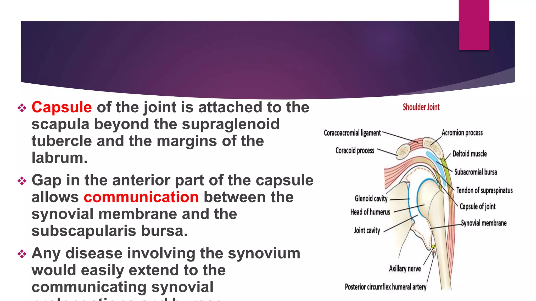 TB shoulder,elbow,wrist,short tubular bones(fingers,toes) | PPTX