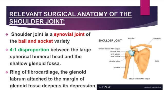 TB shoulder,elbow,wrist,short tubular bones(fingers,toes) | PPTX