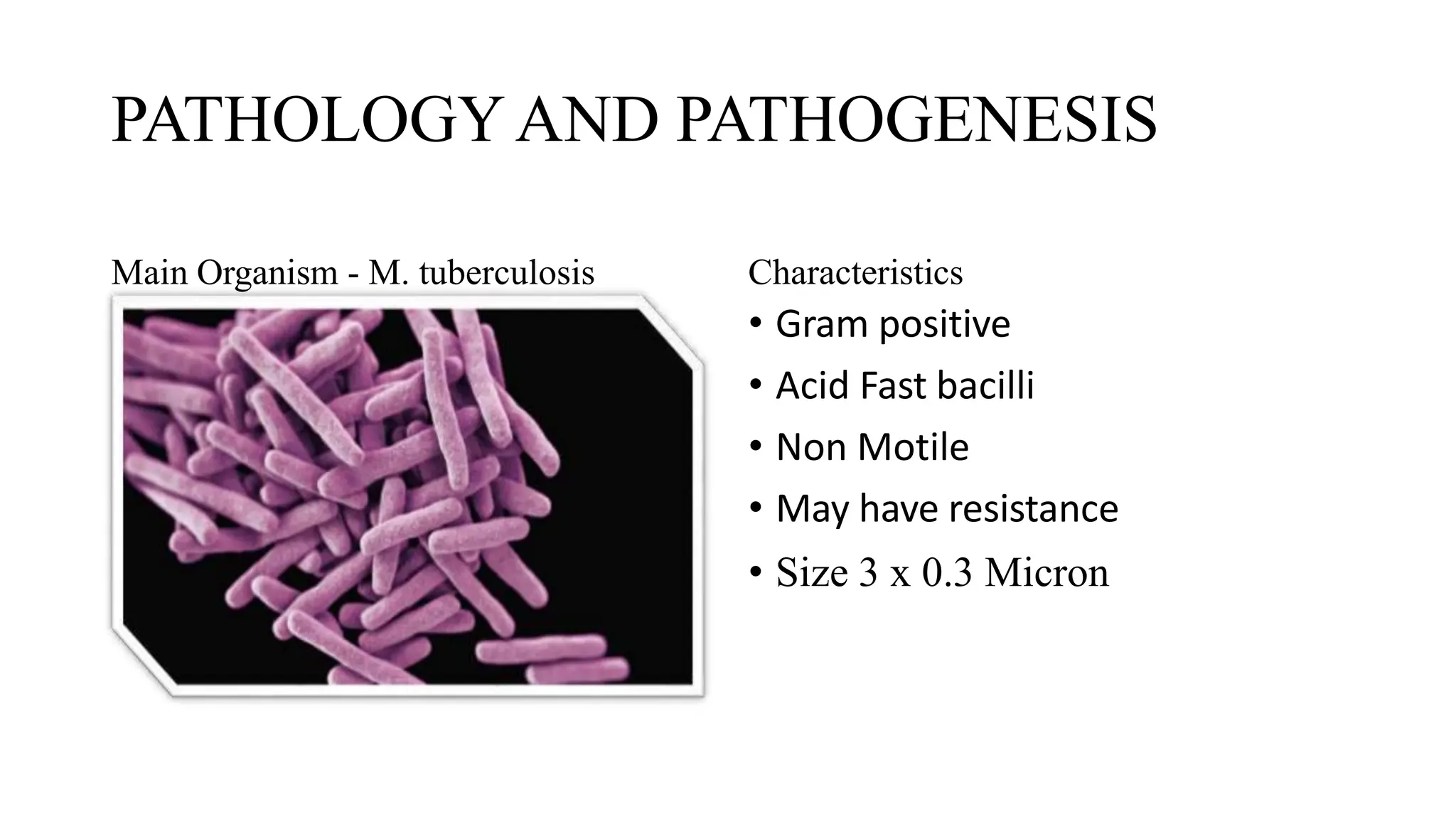 TB SPINE.pptx