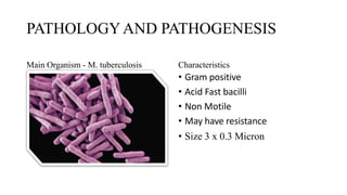TB SPINE.pptx