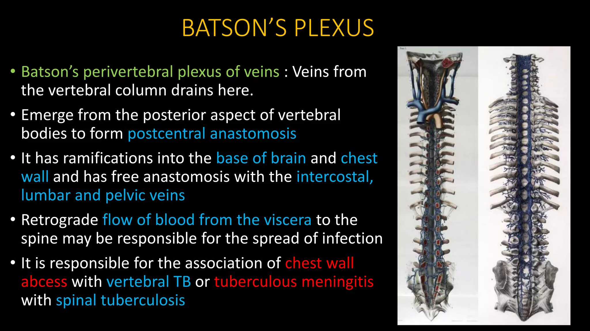 Tb spine and pott’s paraplegia | PPTX