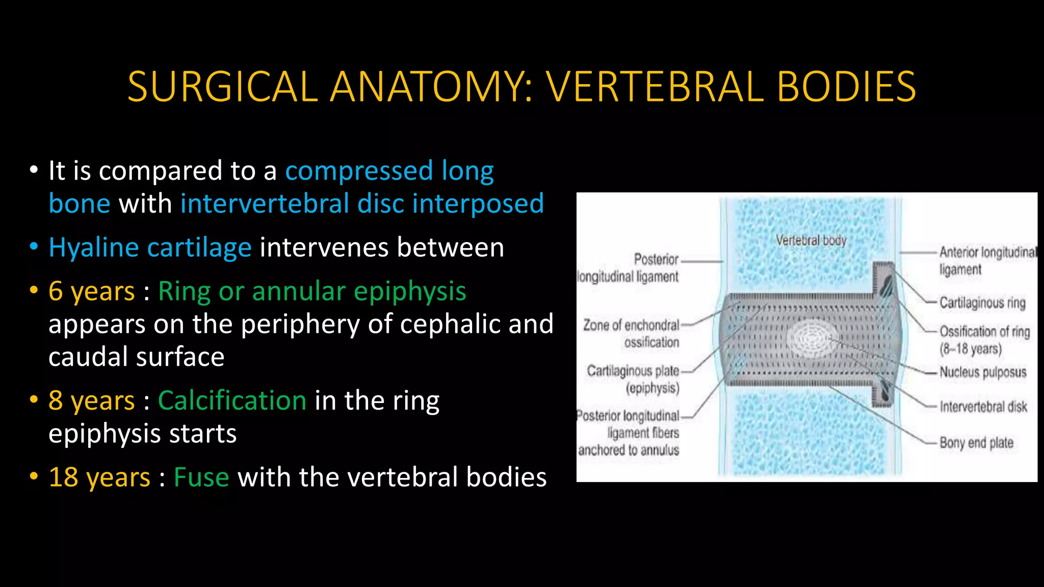 Tb spine and pott’s paraplegia | PPTX