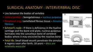 Tb spine and pott’s paraplegia | PPTX