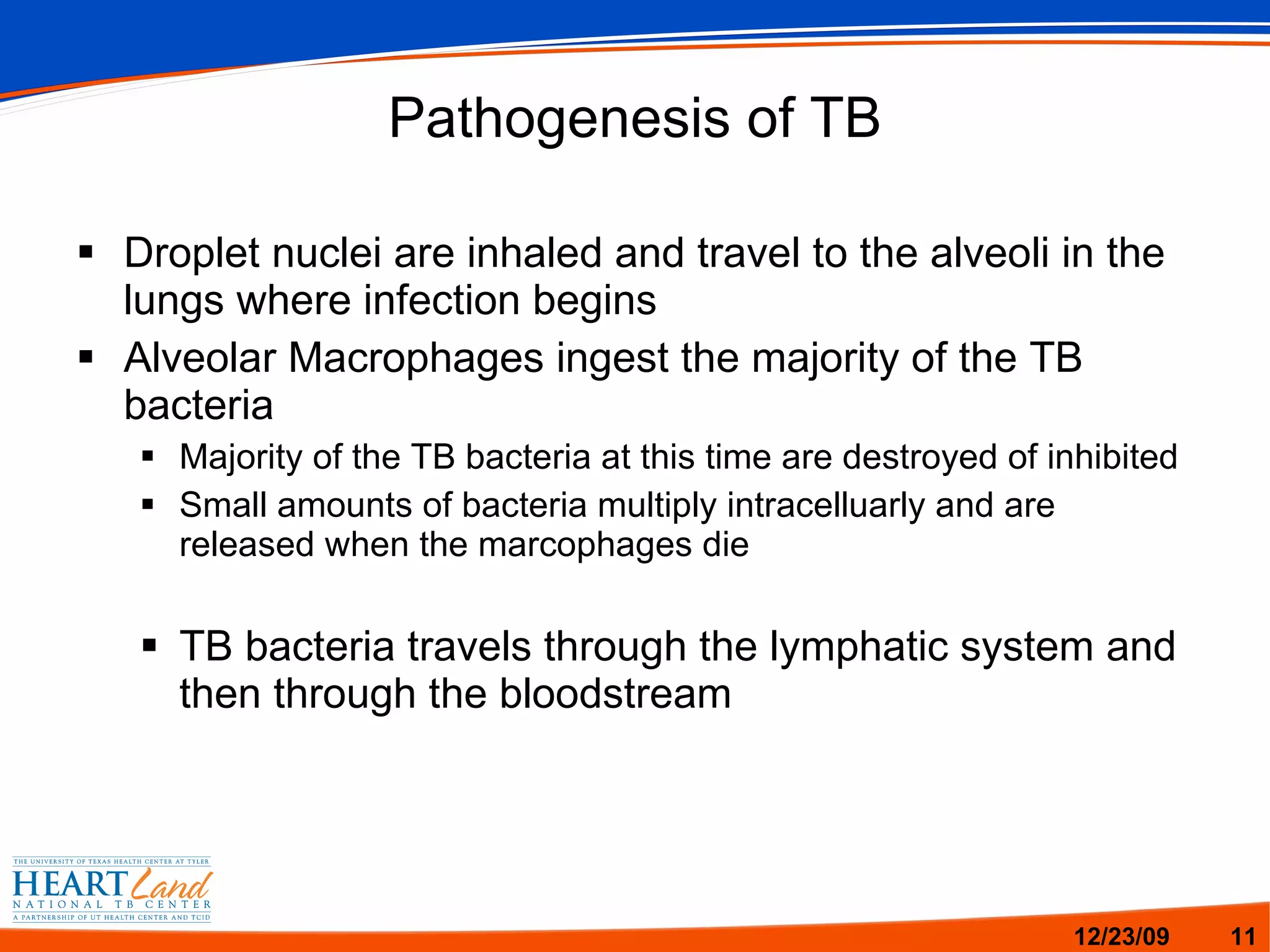 TB Terminology | PPT