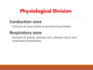 Tbt final | PPTX | Lung and Respiratory Health | Diseases and Conditions