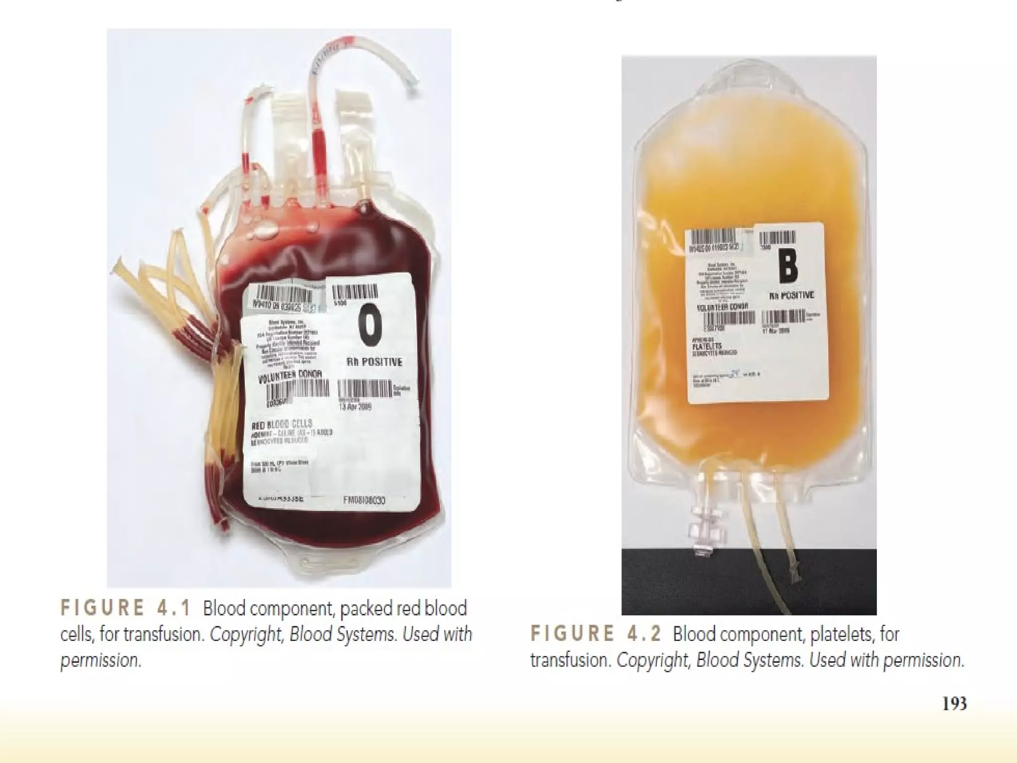 Lecture on Blood component therapy | PPT