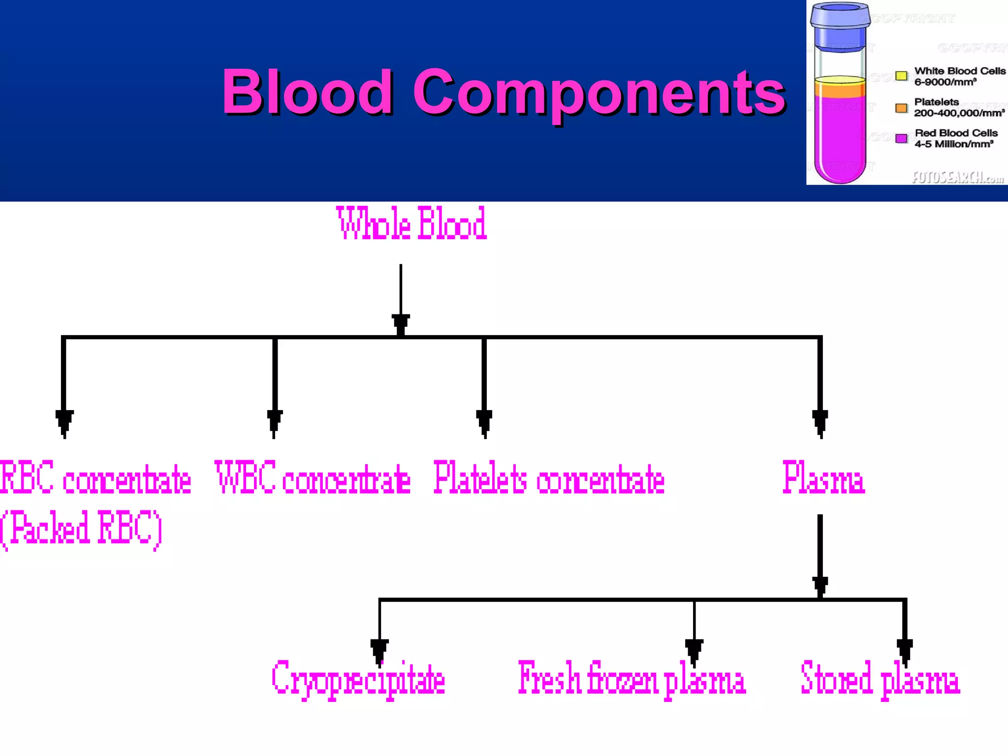 Lecture on Blood component therapy | PPT