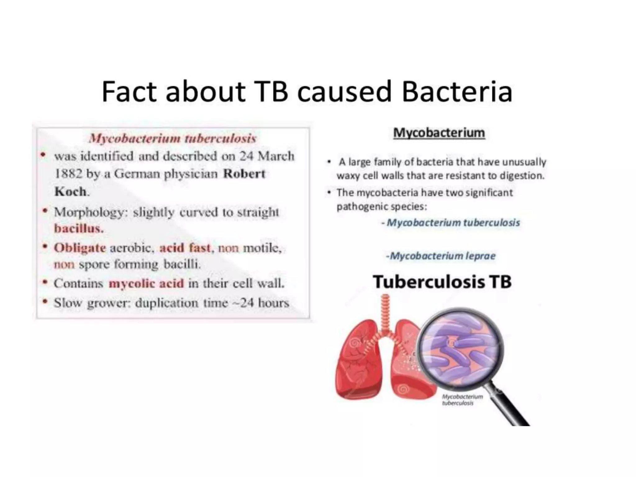 PULMONARY TUBERCULOSIS lecture new.pptx