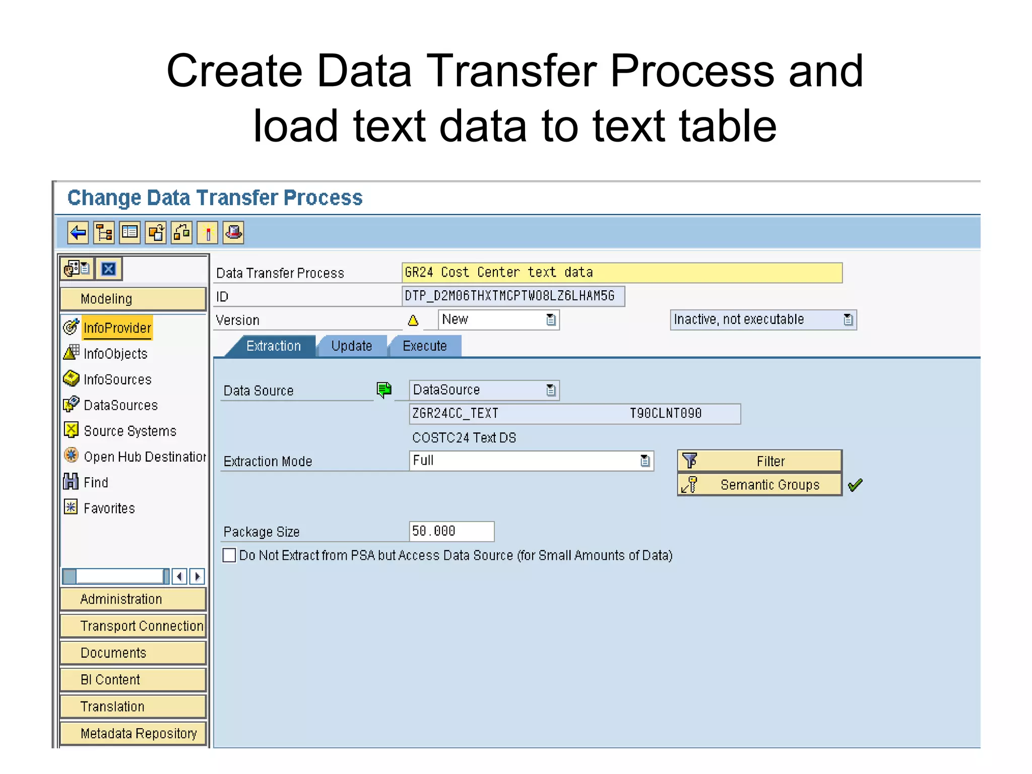 Loading Text Data From Sap Source Systems Ppt