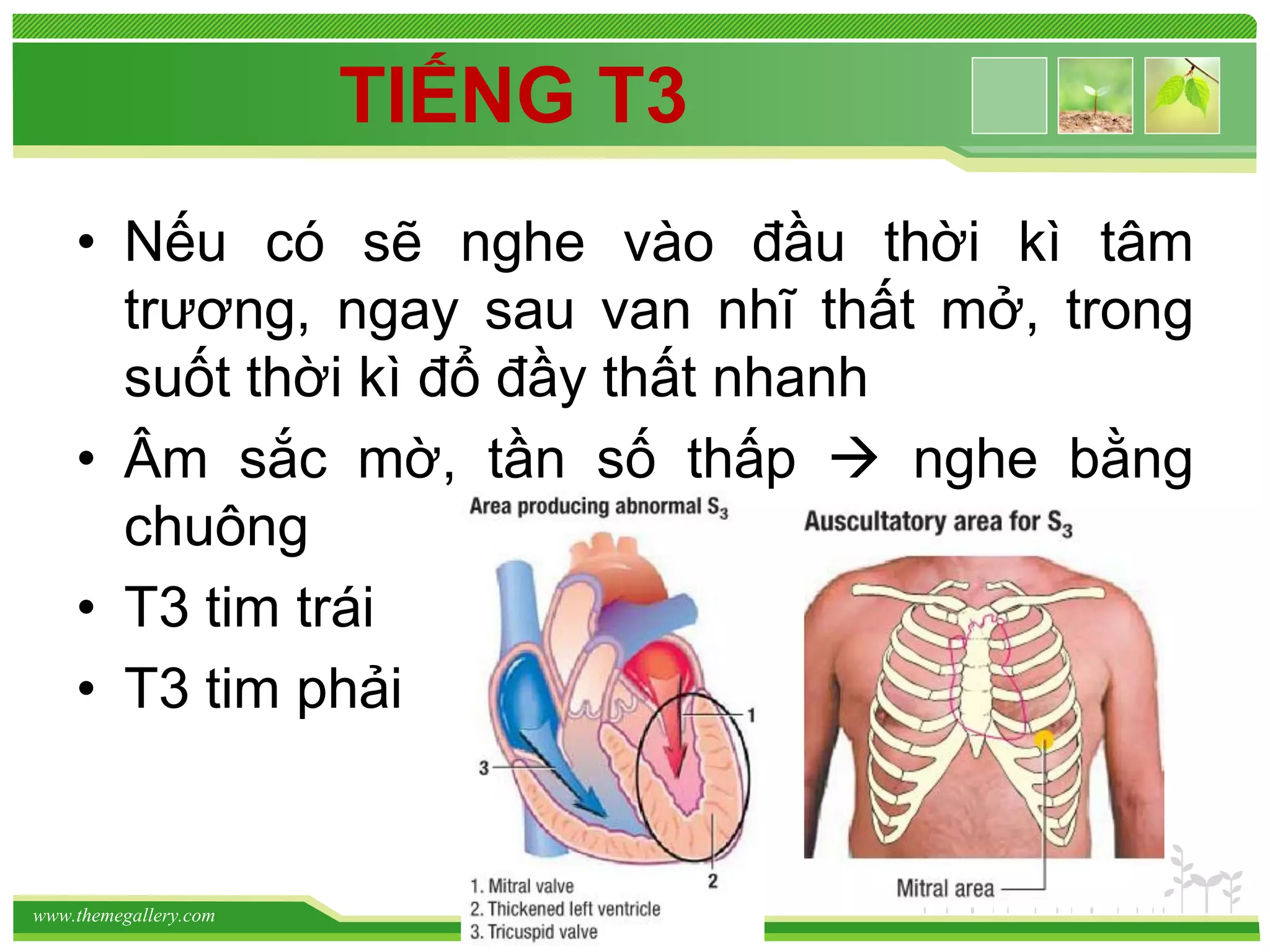 Tiếng tim | PDF