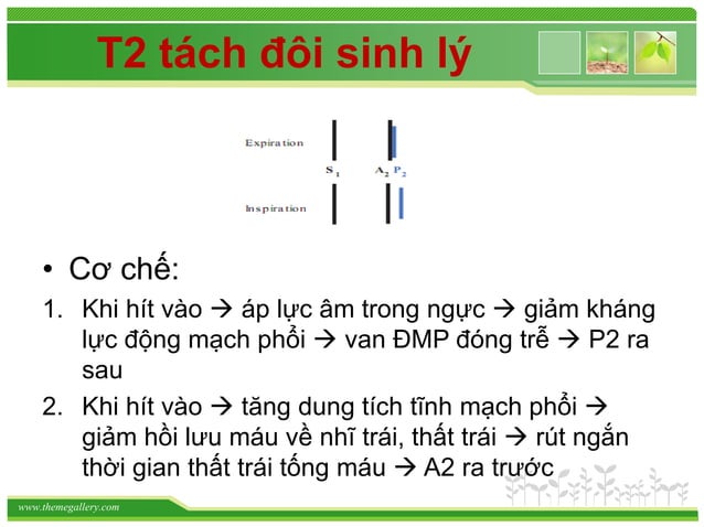 Tiếng tim | PDF