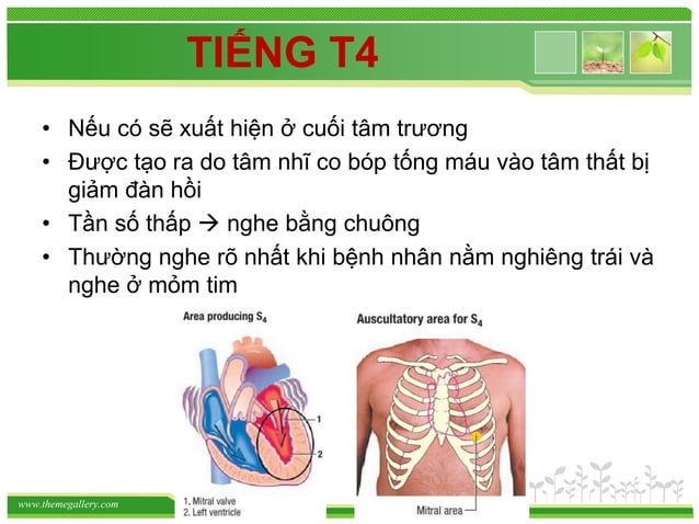 Tiếng tim | PDF