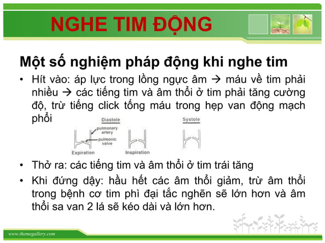 Tiếng tim | PDF