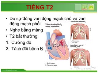 Tiếng tim | PDF