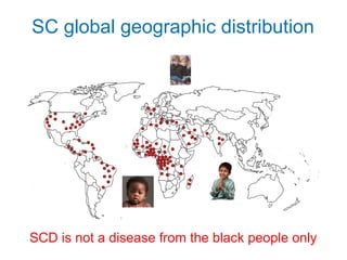 Sub-regional and Global SCD Networks - Jacques Elion | PPT