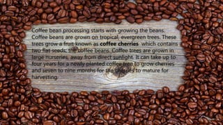 Tea and coffee production process | PPTX