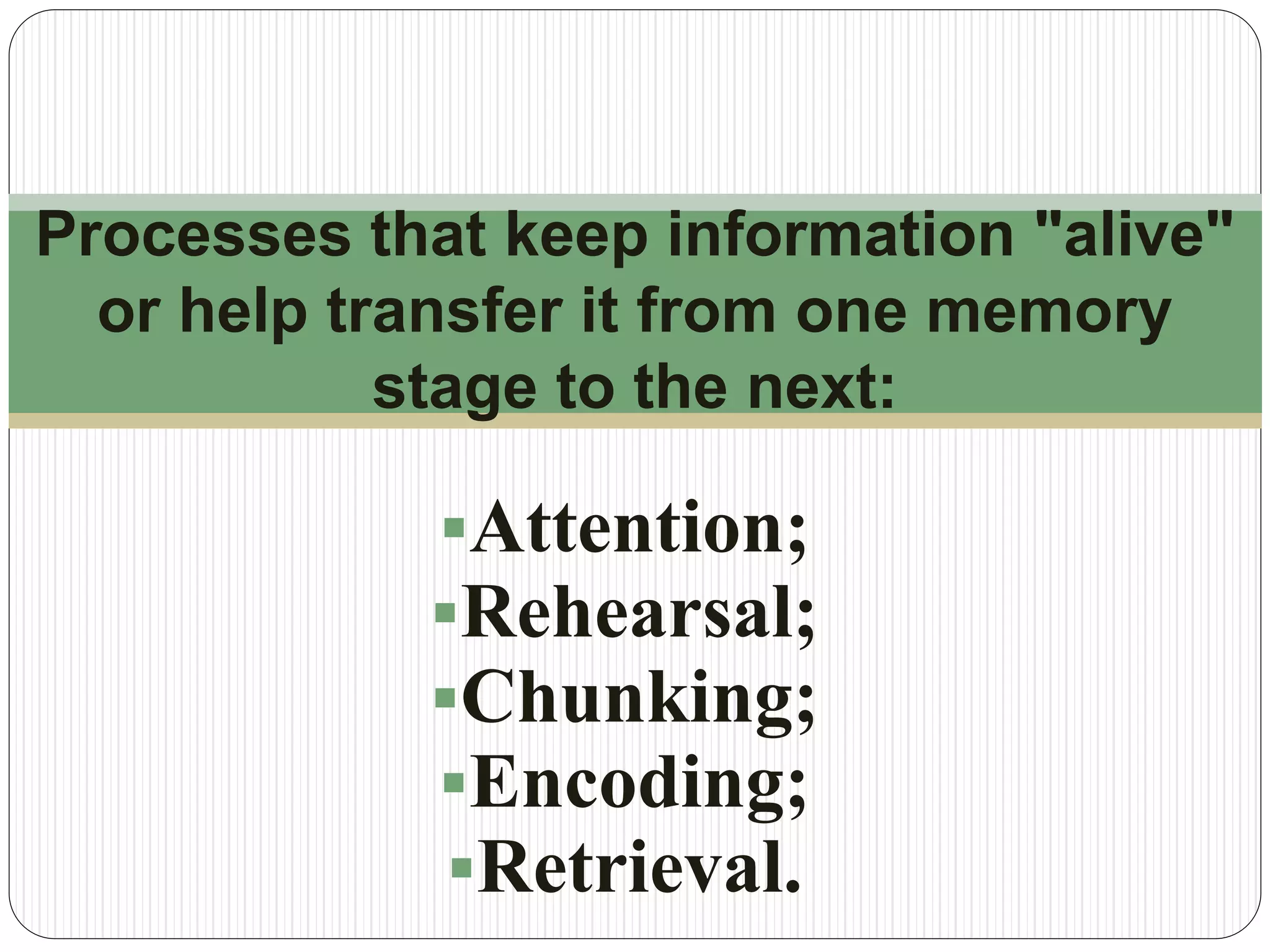 information processing theory | PPTX