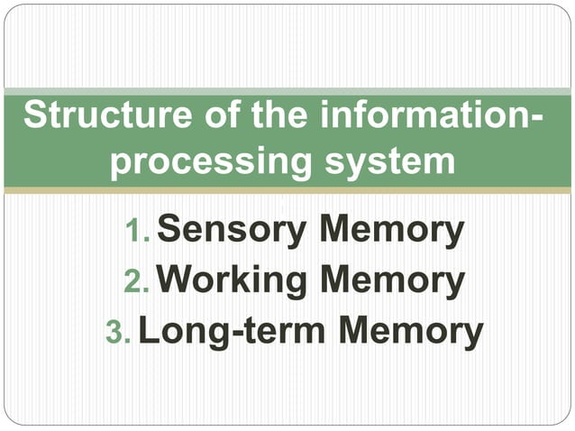 information processing theory | PPTX