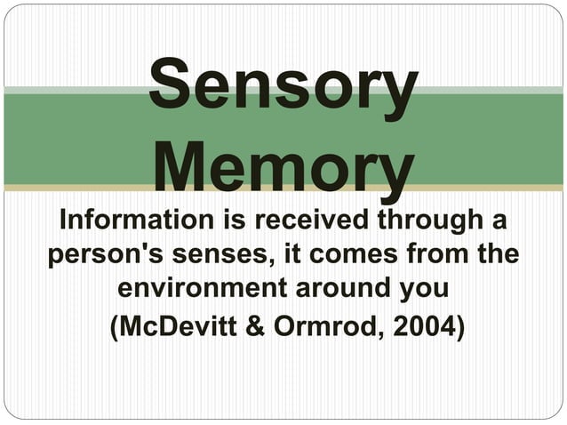 information processing theory | PPTX
