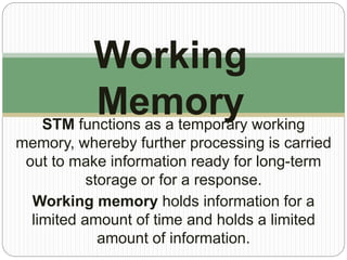 information processing theory | PPTX