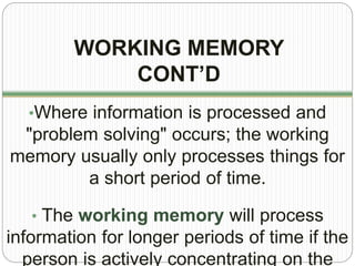 information processing theory | PPTX